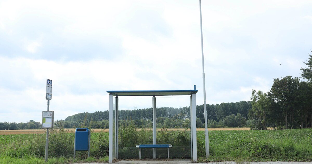 Dit is de stilste bushalte van Zeeland: 'Alleen fietsers schuilen er ...