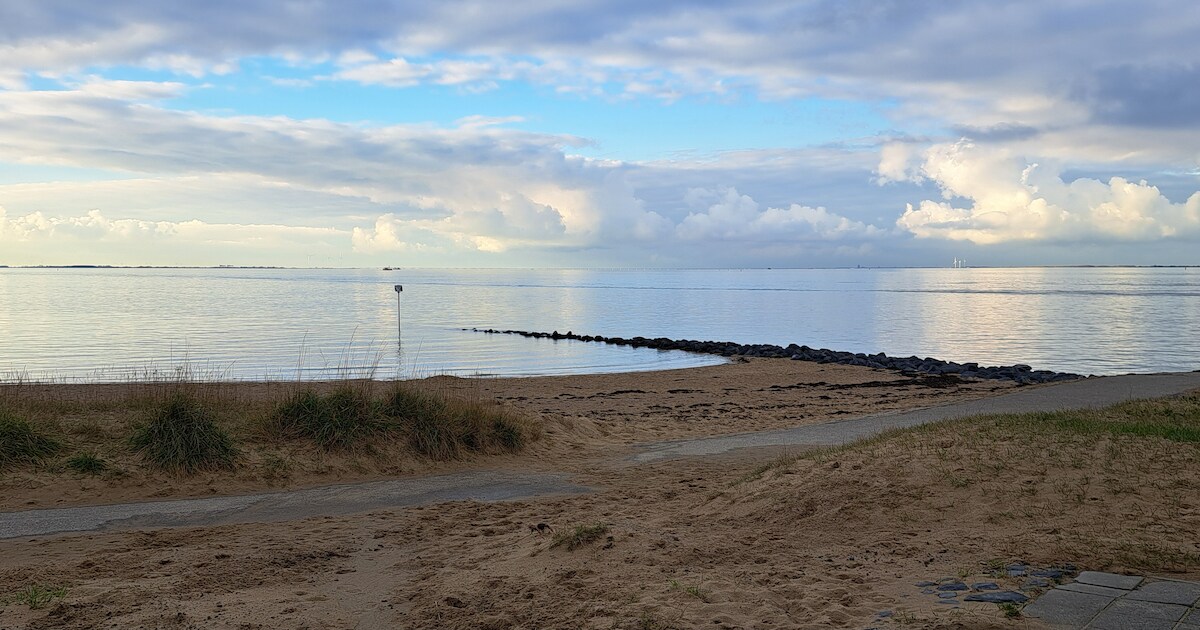 MIJN FOTO | Mijmeren op het strand van Wemeldinge | Regio | PZC.nl