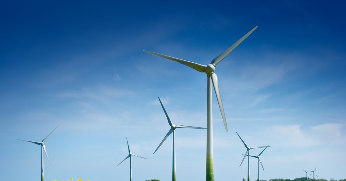 Hulst blieft geen windmolenpark net over de grens | Zeeuws nieuws | PZC.nl