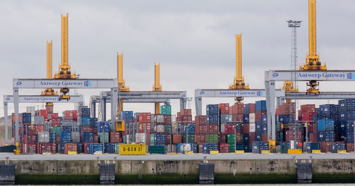 Stikstof uit Vlaanderen: geen gram te veel, eej | Zeeuws nieuws | PZC.nl