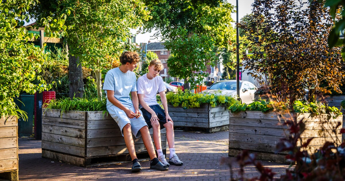Middelburg loopt warm voor beweegbaar bos, alleen Bos (Fvd) stemt tegen ...