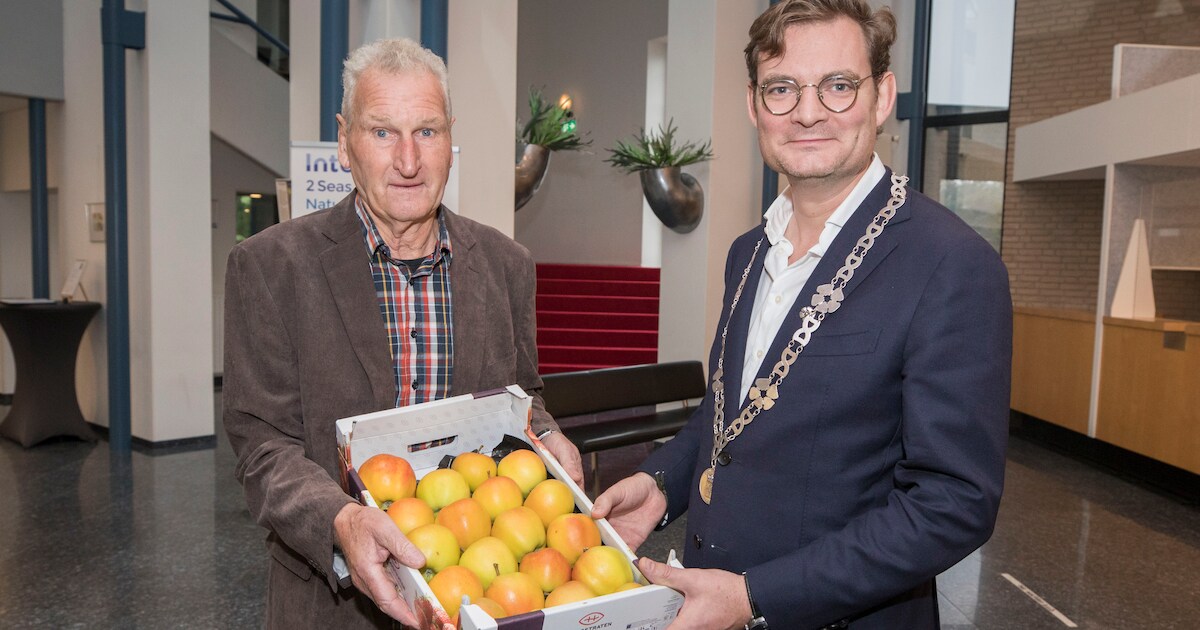 Een nieuw appelras voor de nieuwe burgemeester: ‘Hij is heerlijk ...