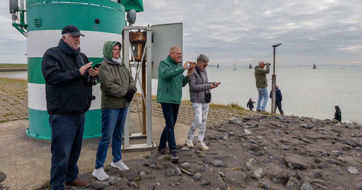 Vanaf de wal in Hansweert meegenieten met de Antwerp Race: ‘Ik hou van ...