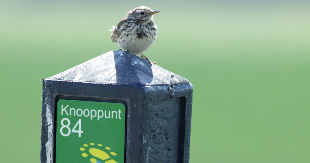 Landgoed bij ’s-Heer Hendrikskinderen: grootste deel moet openbaar ...