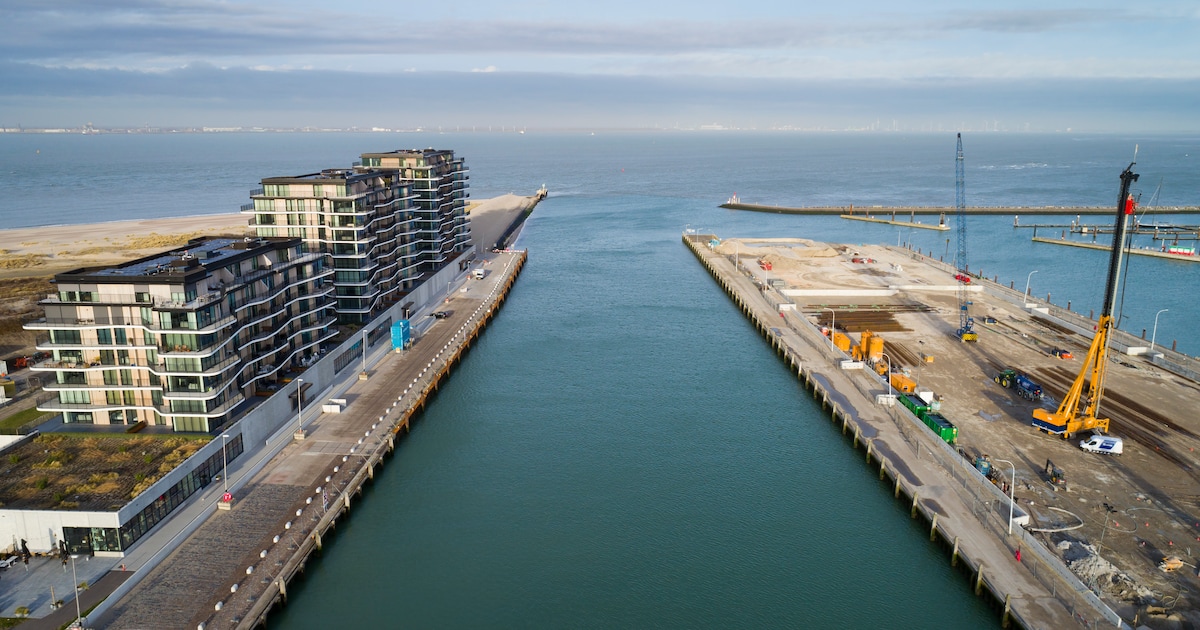 Steunberm in haven Breskens doet zijn werk: ‘Voorkomt meer verzakkingen ...