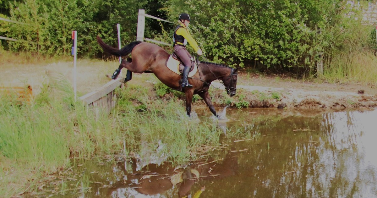 Eventingamazone Zandee houdt in Westdorpe stand tussen internationals ...