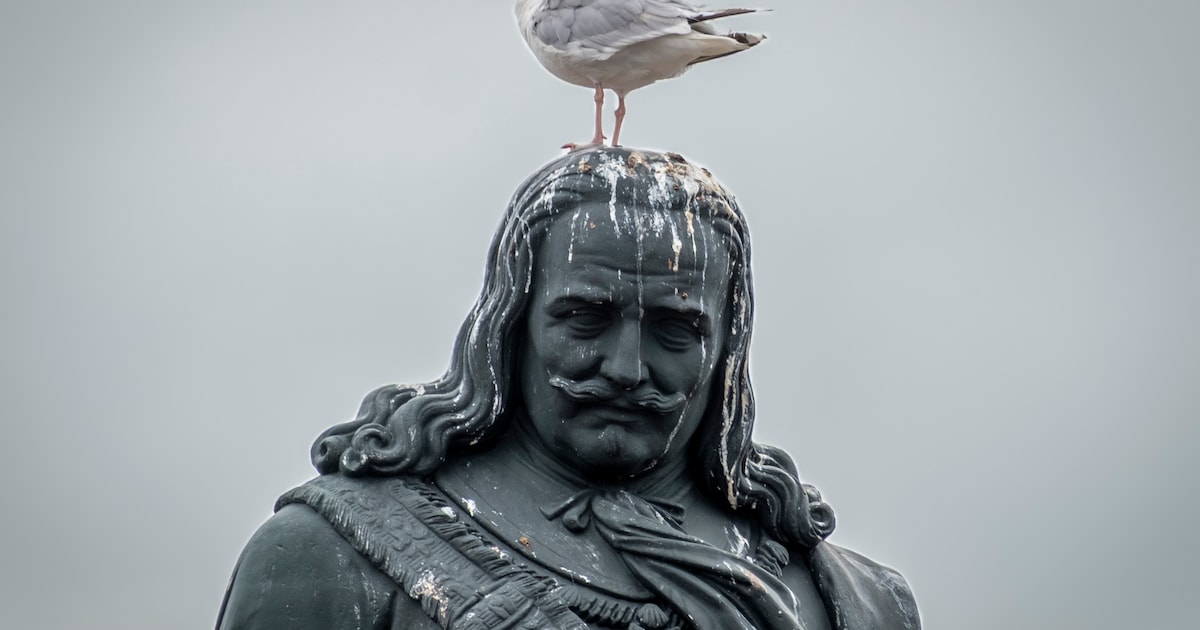 Poep op zijn hoofd is vies en ontsierend voor Michiel de Ruyter: 'Maar ...