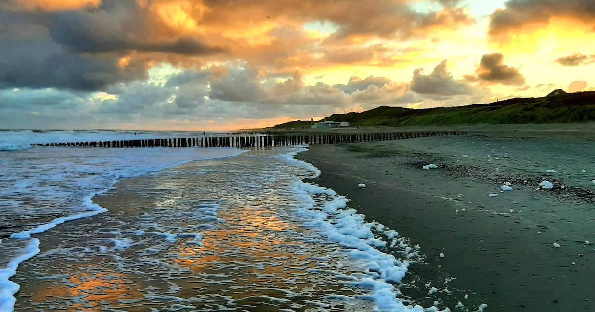Zee deponeert PFAS terug aan land: druppels schuim blijken vol ...