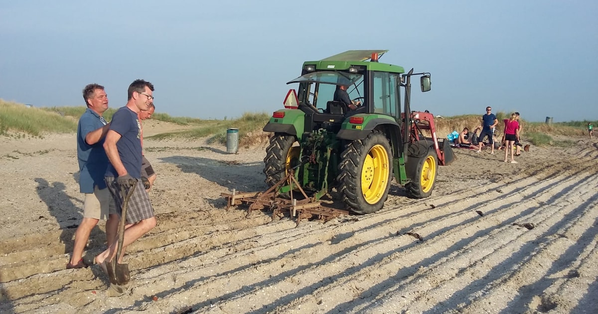 Strandje Ouwerkerk heeft nu smoel | Regio | PZC.nl