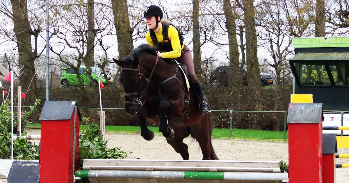 Jacqueline Zandee maakt indruk bij Eventingderby | Sport in Zeeland ...