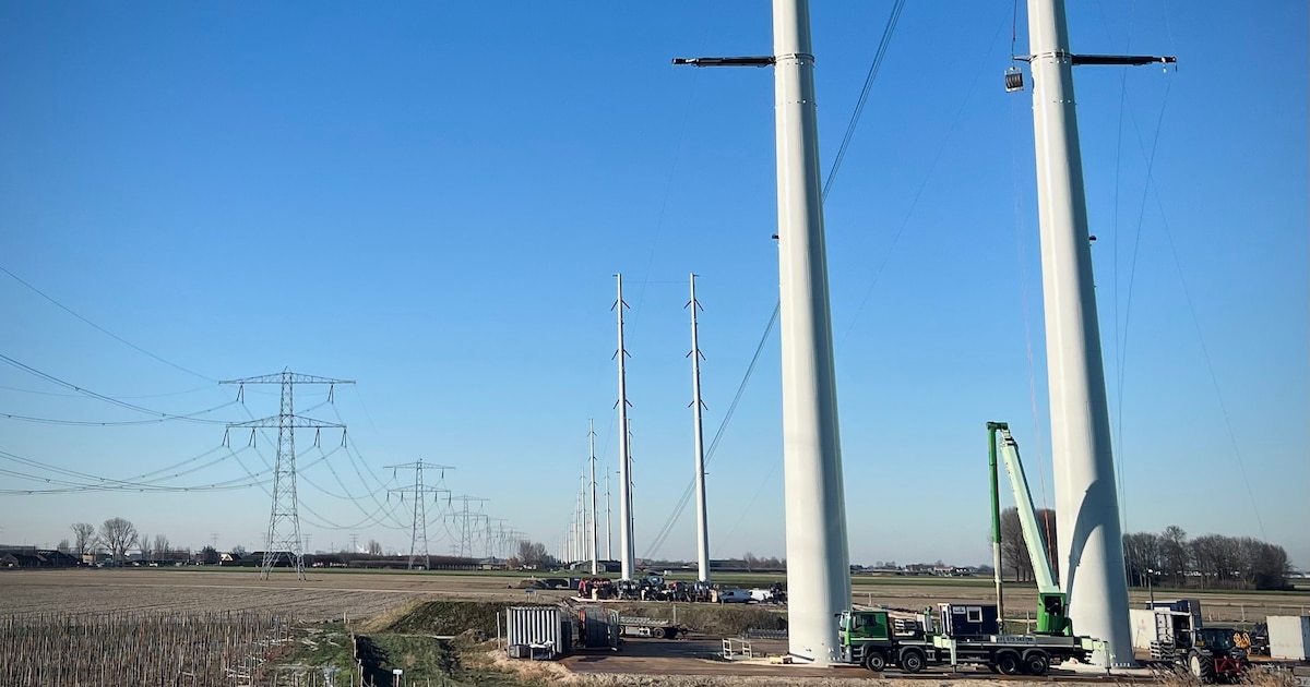 TenneT: nog enkele fluitende hoogspanningsmasten houden Zeeuwen wakker | Reimerswaal | pzc.nl