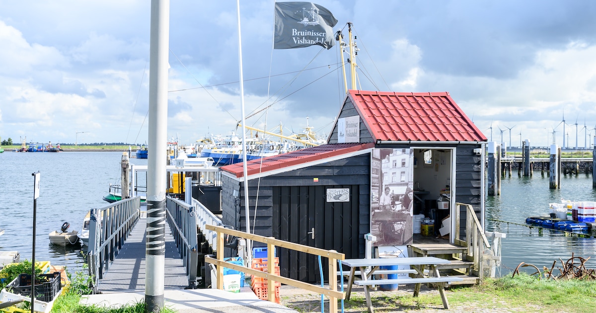 Veerhaventerrein de Zijpe in Bruinisse is zo rommelig dat het geen ...
