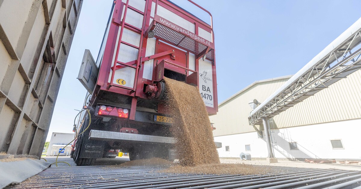 Weg is vrij voor fusie van Zeeuwse landbouwcoöperatie CZAV | Regio | PZC.nl