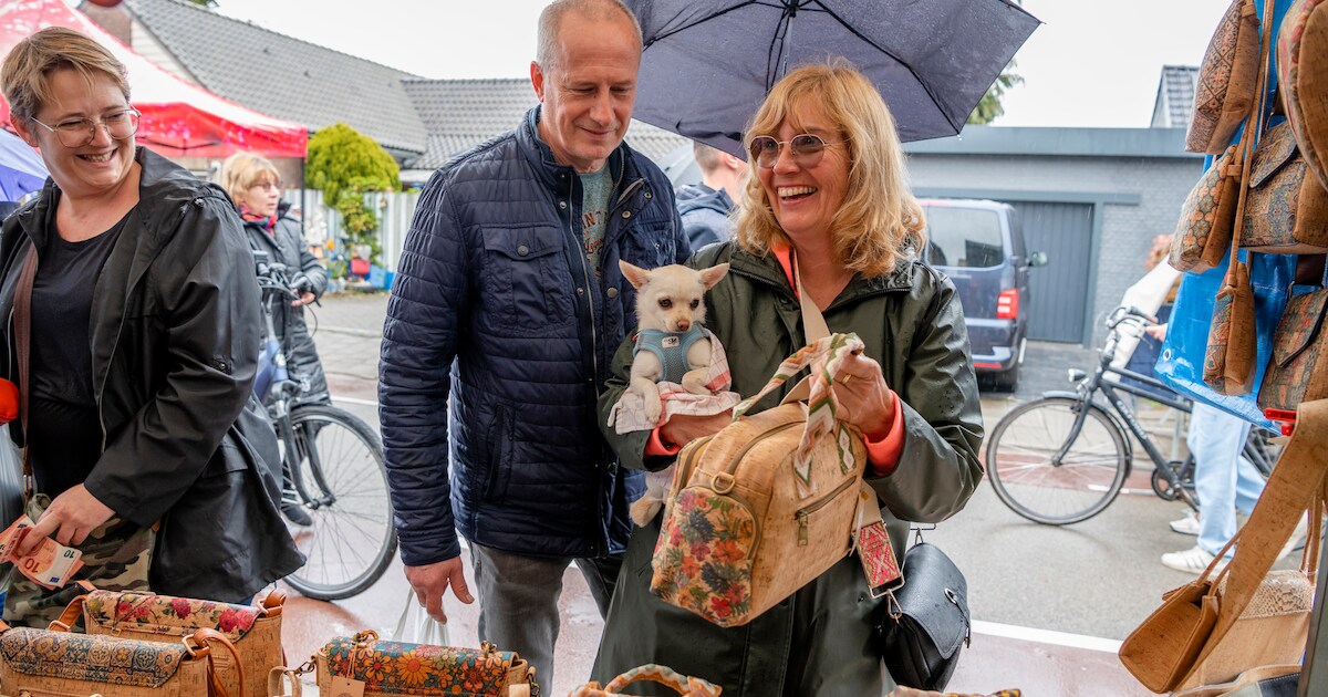 De 40ste Meikermismarkt in Koewacht pakt uit met duizenden euro’s aan ...