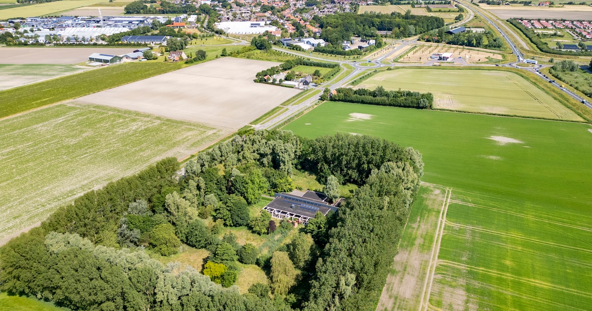 Waarom werd Serooskerke niets gevraagd over ‘geniale vondst’ voor ...
