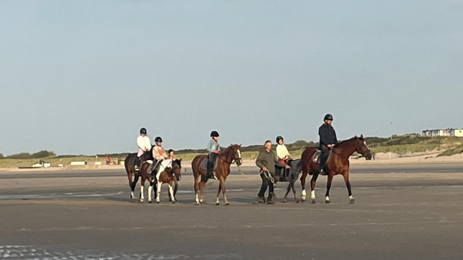 Paardenhouder ruziet met gemeente over duinovergang: ‘Boa’s stuurden me ...
