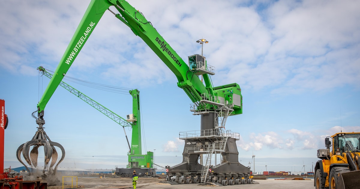Op zoek naar de ‘Hulk in Bulk’, de enorme kraan van Bulk Terminal ...