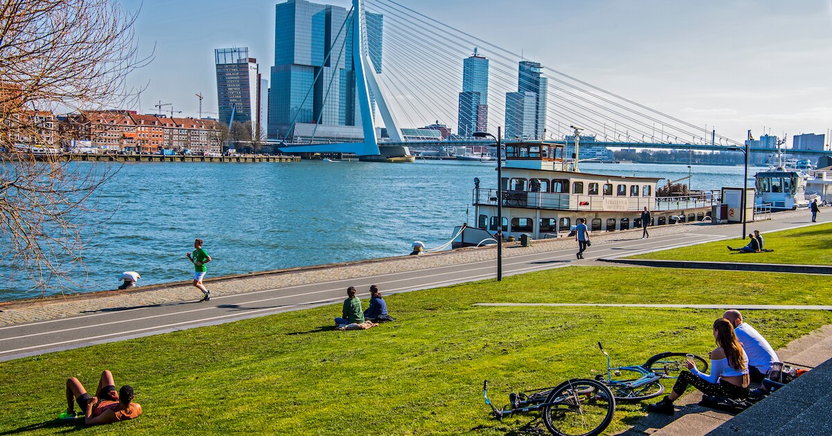 Is Rotterdam de Meest Toegankelijke Gemeente van Nederland? | Rotterdam ...