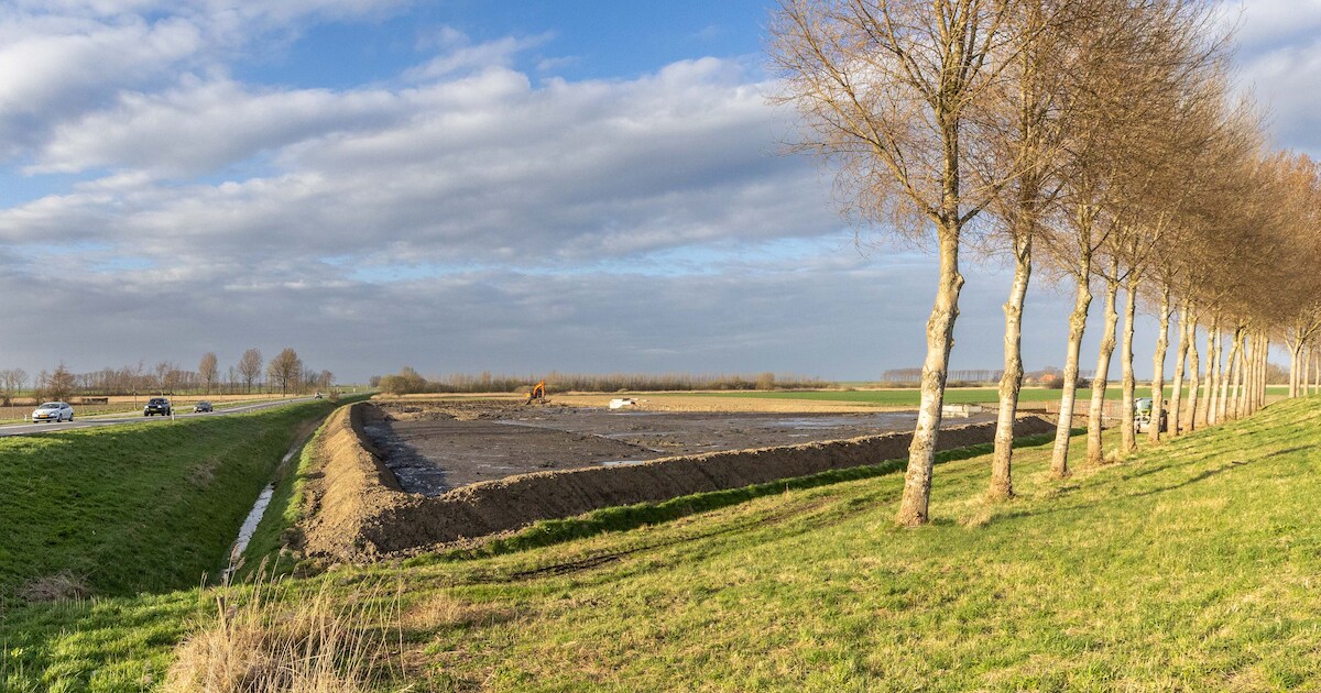 Wat zijn ze toch aan het doen langs de Deltaweg bij Goes? | Goes | PZC.nl
