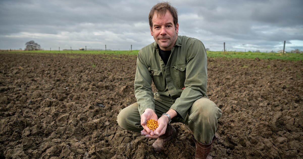 Hak zet Zeeuwse boeren voor het blok: alle groenten en peulvruchten ...