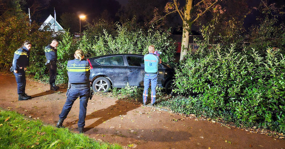 Bestuurder raakt onwel achter het stuur en klapt met auto tegen boom | Dordrecht | PZC.nl