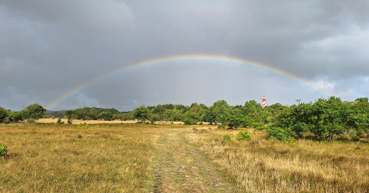 Vogeleilanden, boerennatuur en verplaatsing van vliegveld: miljoenen ...