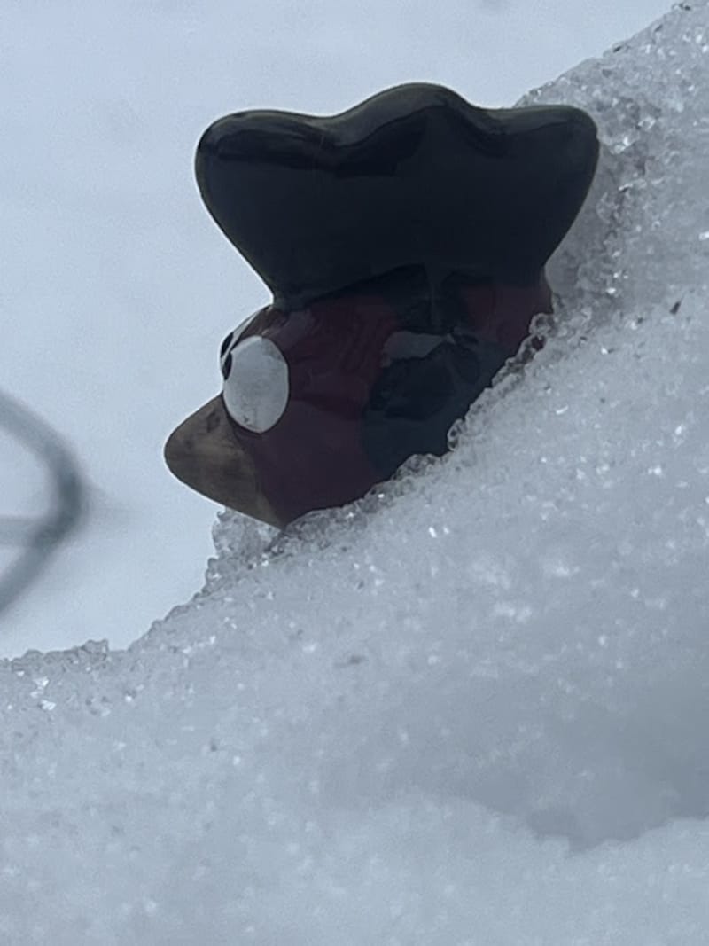 LIVE Sneeuw in Brabant | Sprookjesbos in Efteling opnieuw dicht, drukte ...