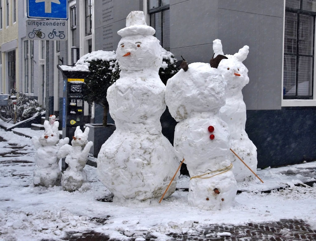 Van een sneeuwfamilie tot een geplet sneeuwdiertje: 8x bijzondere ...