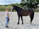 Paarden assisteren Maartje bij herkomst van gezondheidsklachten: ‘Ik ...