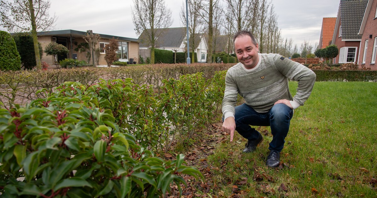 Wouter vreest dat zijn voortuin uitlaatterrein voor honden wordt: ‘Kan ...