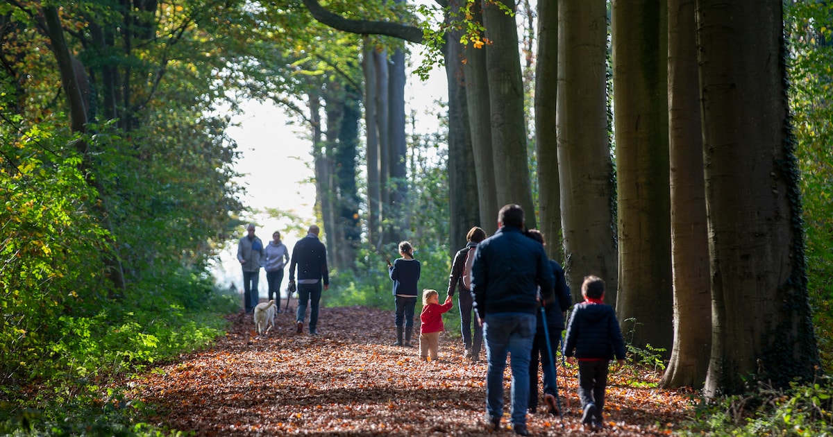 Stormachtig weer maakt plaats voor zon en warmere dagen | Binnenland ...