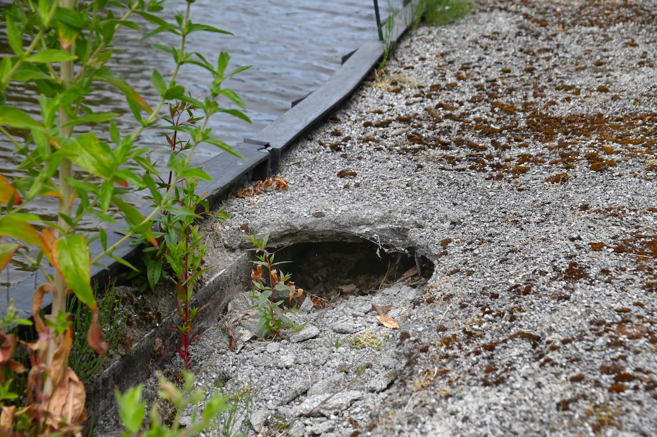 Inge ziet haar tuin langzaam de watergang in zakken, maar hulp blijft ...