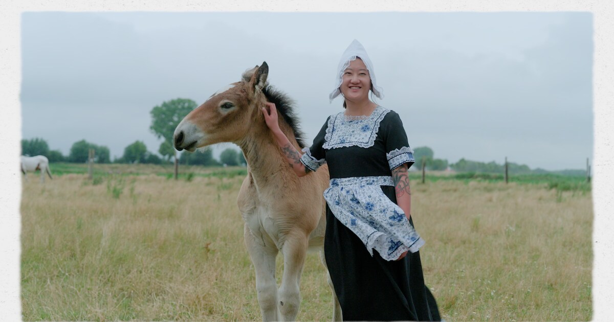 Als Chinees in West-Zeeuws-Vlaanderen werd Kelly-Qian geregeld ...