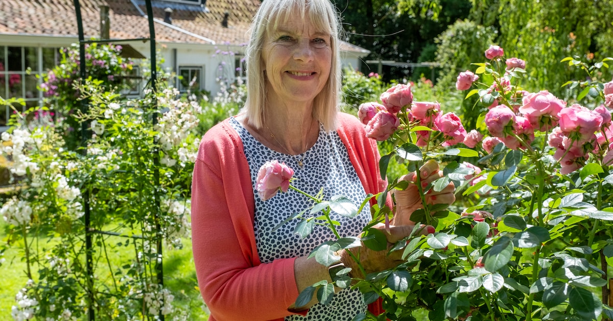 Hedy verkaste naar Zeeland om haar tuinendroom te verwezelijken, nu ...