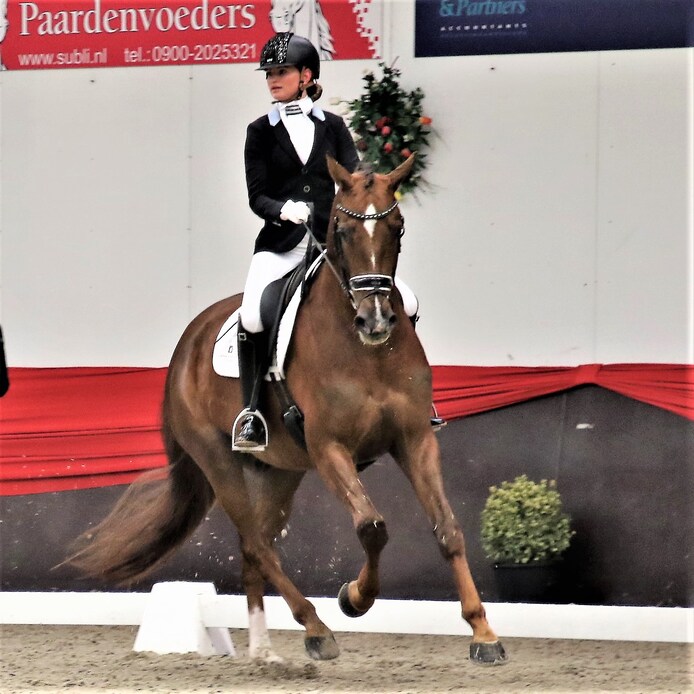 Toch twee Zeeuwse amazones naar het EK dressuur: Dijkstra vervangt Van ...