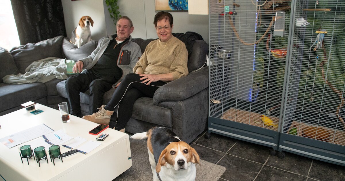 Jeanine en Jack in de rats omdat hun heerlijke huis gesloopt wordt ...