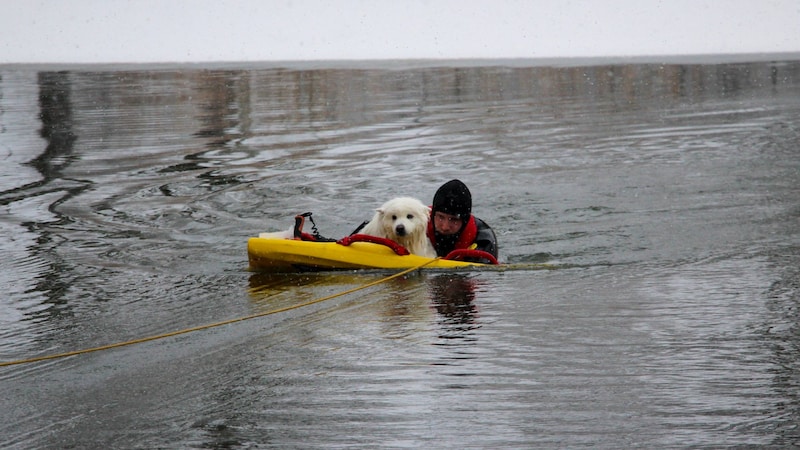 LIVE code geel | Code oranje voorbij, winterse omstandigheden houden ...