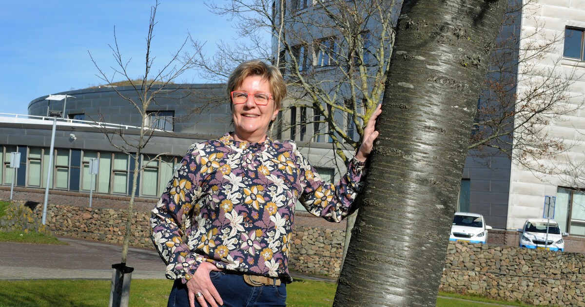 PvdA en SP willen de hoogte in met nieuwbouw ‘snel klappers maken in ...