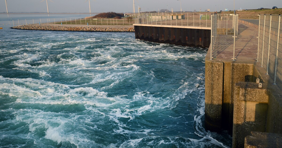 Grevelingen is ziek: ‘Snel vers water nodig’ | Zeeuws nieuws | pzc.nl