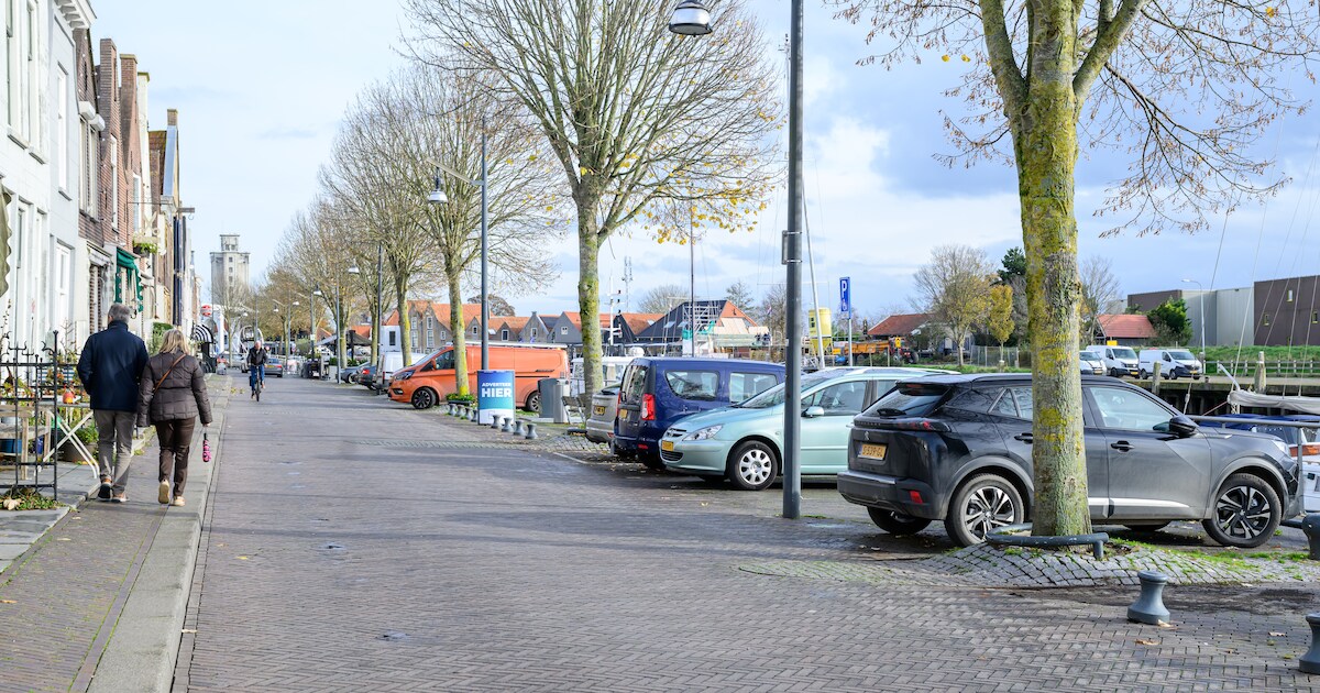 23 bomen langs de Nieuwe Haven staan op breken en worden uit voorzorg ...