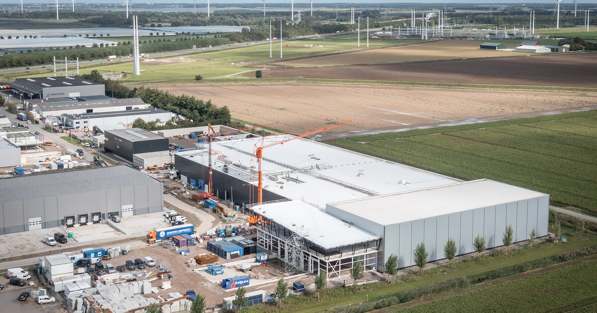 Frietreus McCain neemt Reimerswaalse producent van groentesnacks over ...