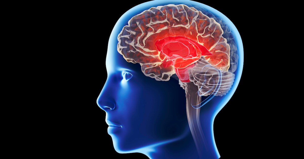 Blijf je hersenen trainen: ‘Het maakt niet uit wat je doet, als het ...