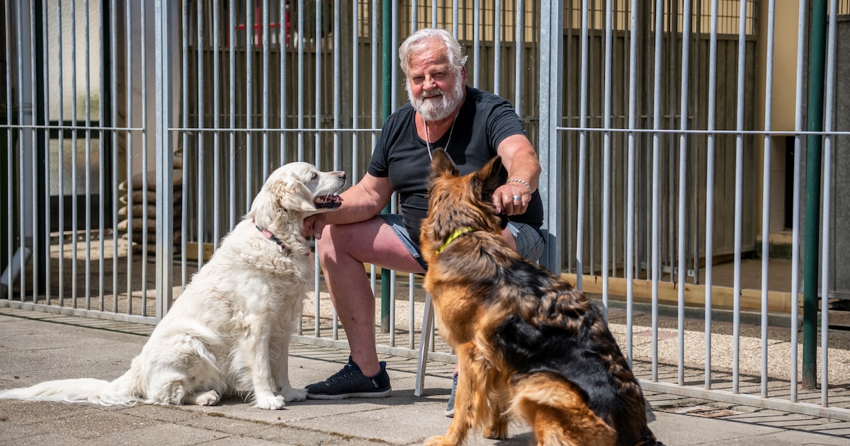 Bij Dierenpension Westerschelde zijn al sinds de jaren zeventig ...