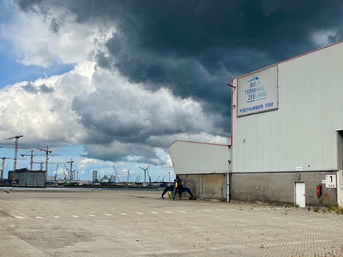 Toch weer zoektocht naar ‘spookgetuige’ in drugszaak Bulk Terminal ...