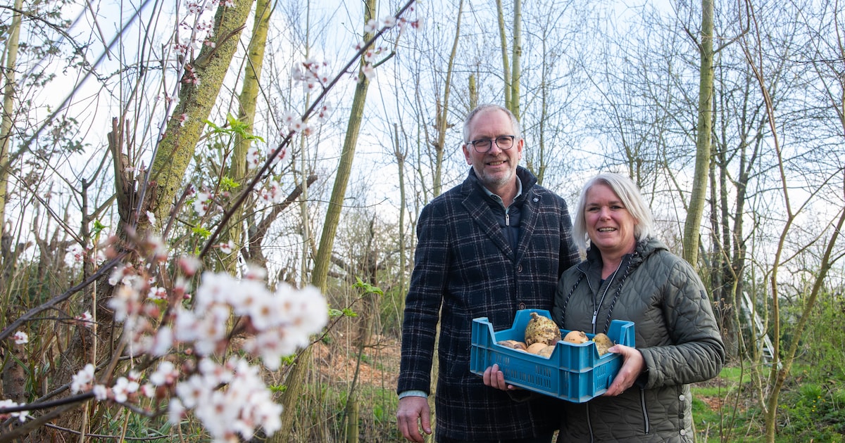 Bij de Voedselbron in Graauw geldt een gezonde bodem, gezonde planten ...