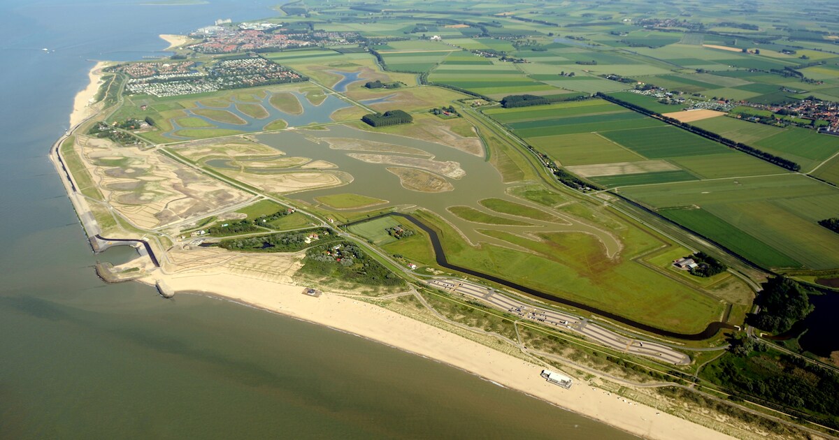 Natuurprojecten Westerschelde vertraagd | Zeeuws nieuws | PZC.nl