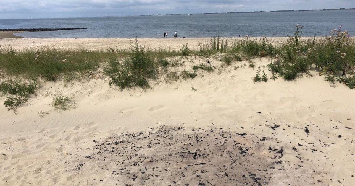 Yersekenaren balen van vandalisme op Damse strandje | Bevelanden | PZC.nl