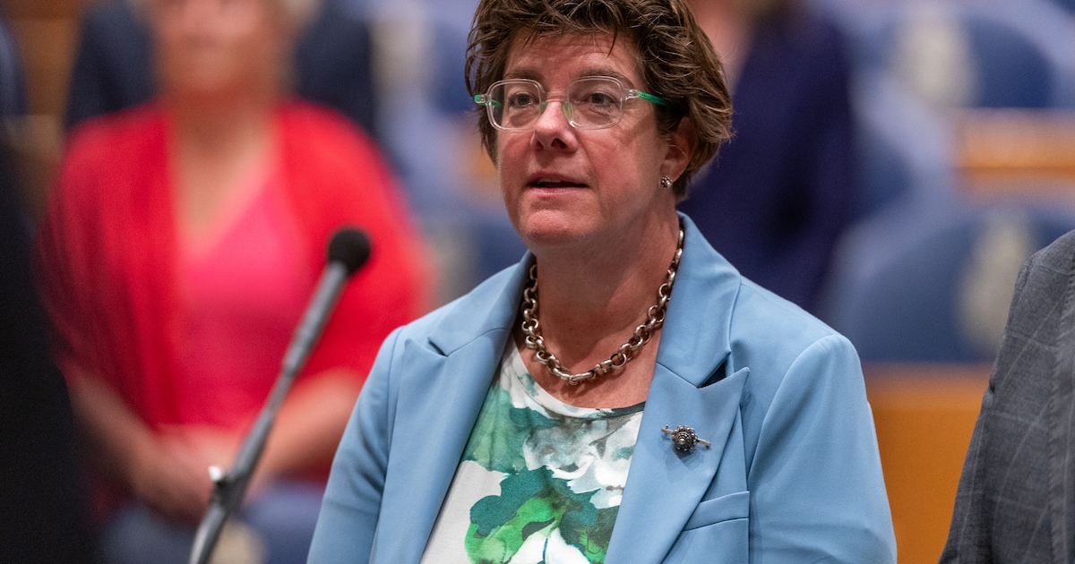 Jacqueline van den Hil (VVD) verlaat Tweede Kamer en keert terug naar ...