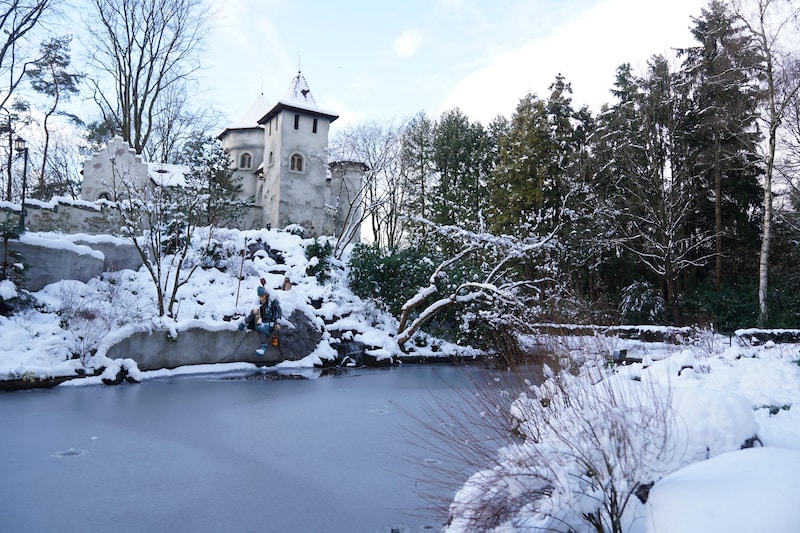 LIVE winterweer | In drie dagen tijd bijna 1200 vluchten geschrapt ...