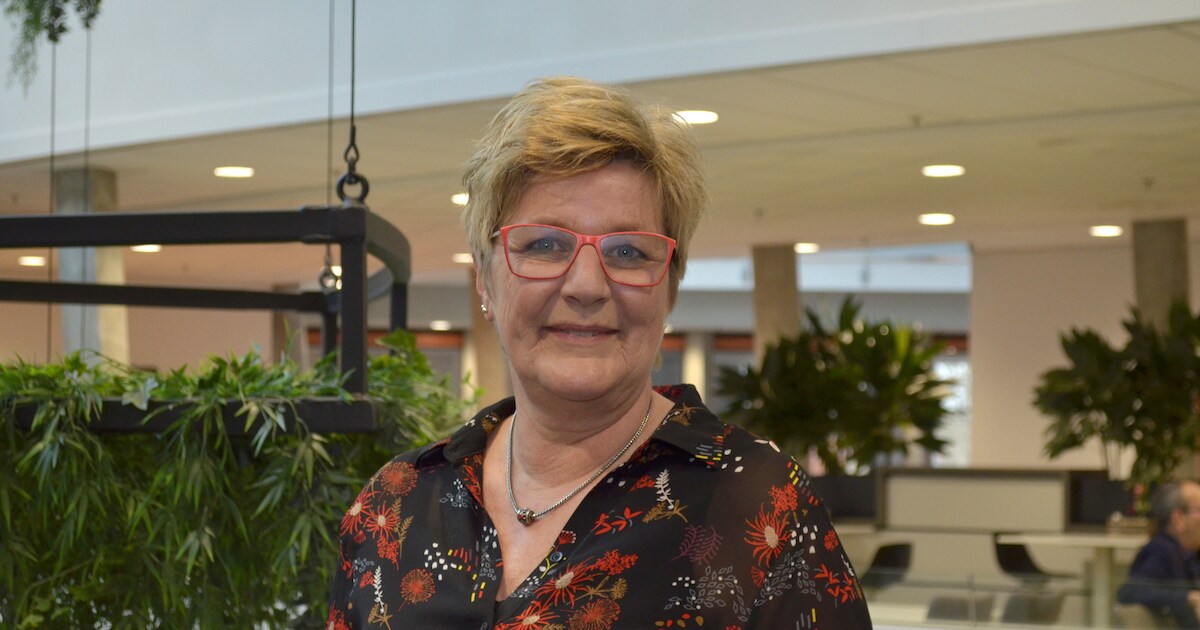 Rem op nieuwe plannen en projecten; Schouwse ambtenaren hebben het te ...